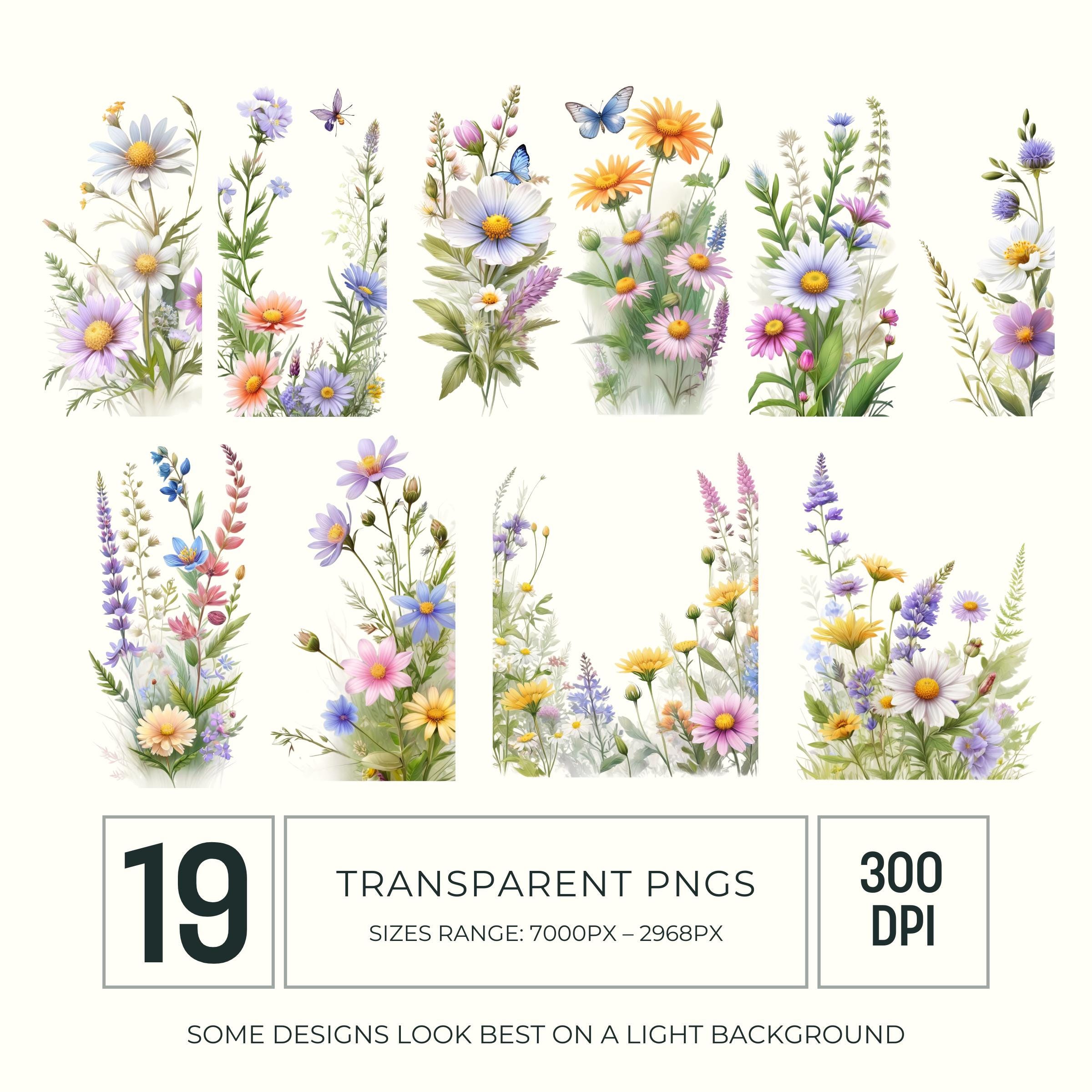 Watercolor Wildflower Clipart Set, Scrapbook Graphics, Card Making ...