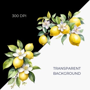 Citrus Lemon Clipart Pack, Watercolor Clip Art Set, Scrapbook Paper ...