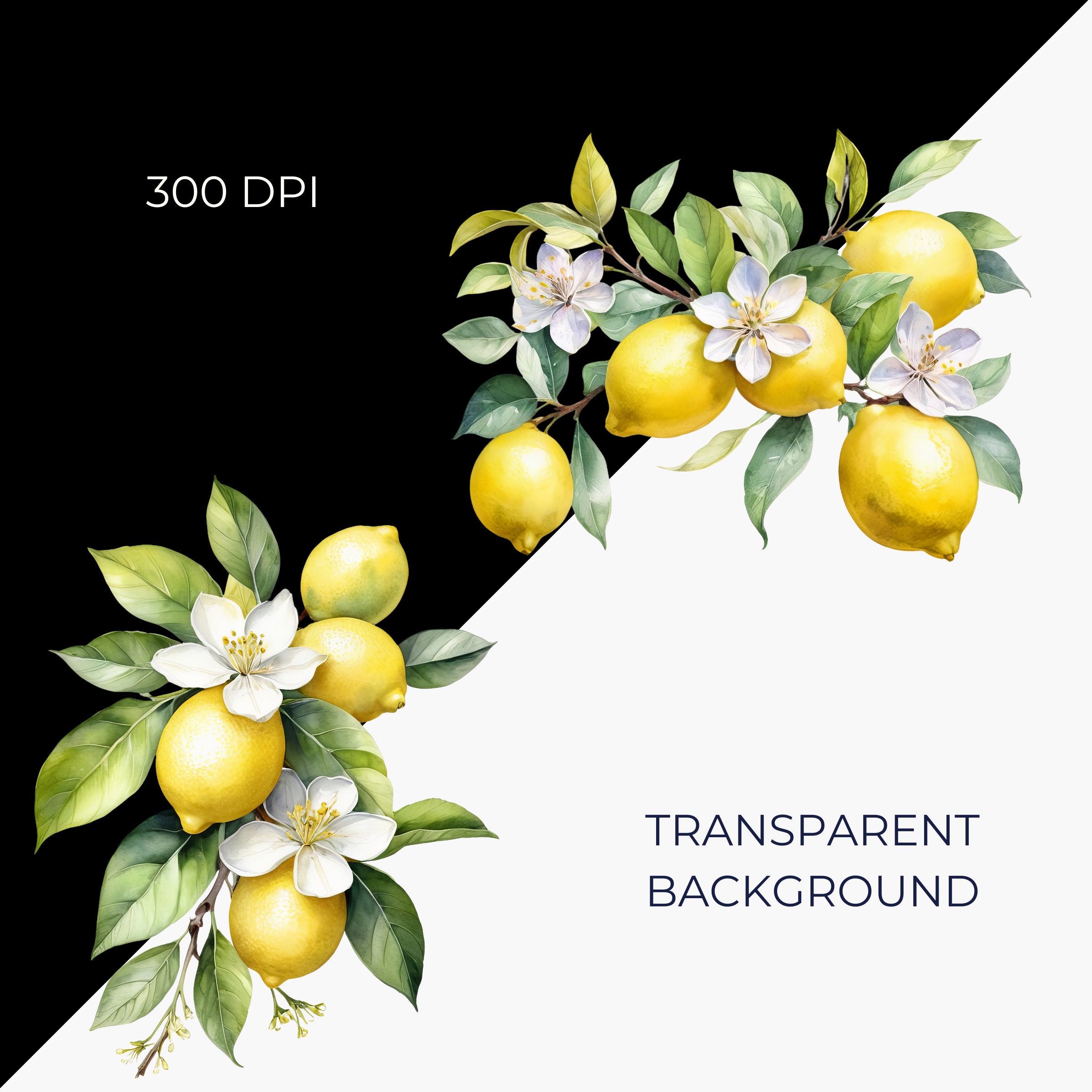 Citrus Lemon Clipart Pack, Watercolor Clip Art Set, Scrapbook Paper ...