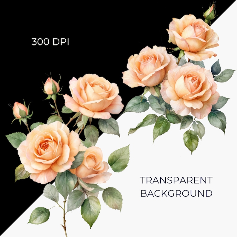 Peach Fuzz Roses Clipart, Flower Border Digital Download, Scrapbooking ...