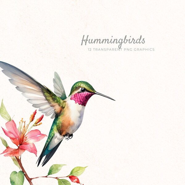 Hummingbird Clip Art - Etsy