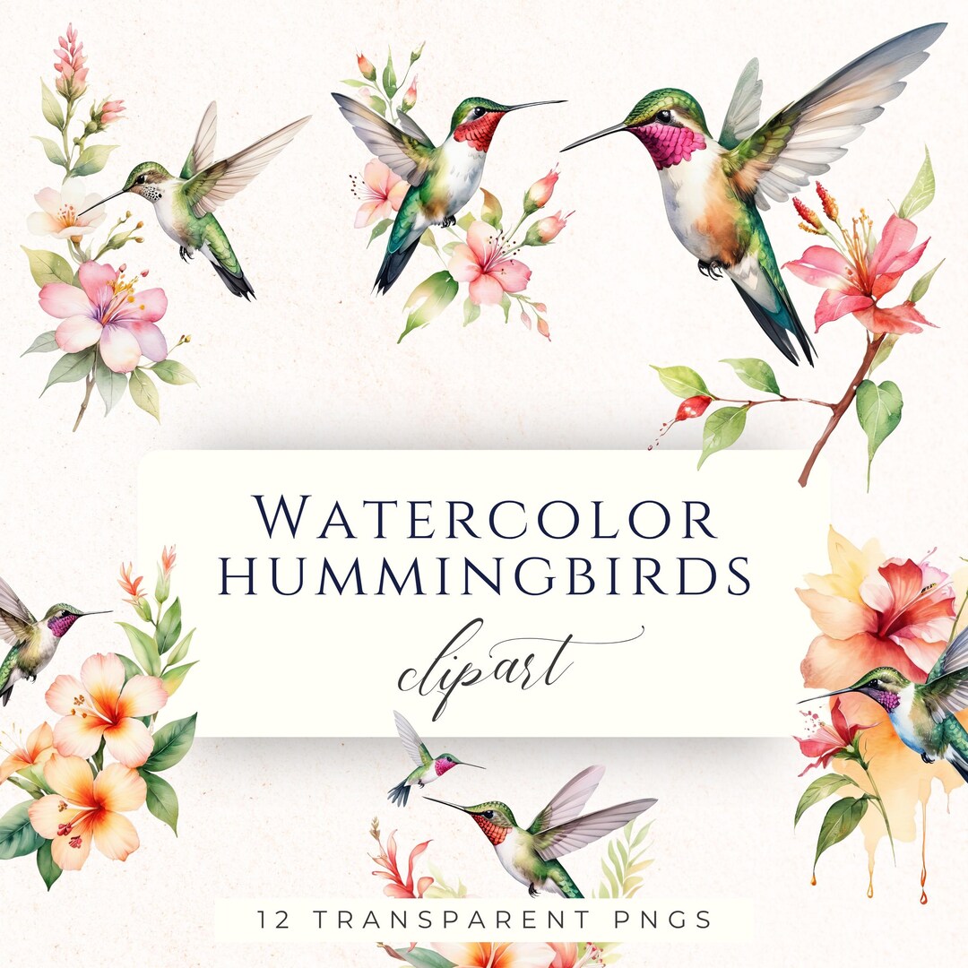 Hummingbird Watercolor Clipart PNG, Nature Bird Graphics for ...