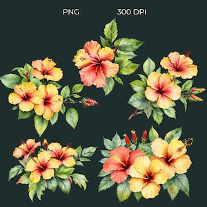 Yellow Red Hibiscus Clipart, Tropical Floral Hawaii Flowers, Instant ...