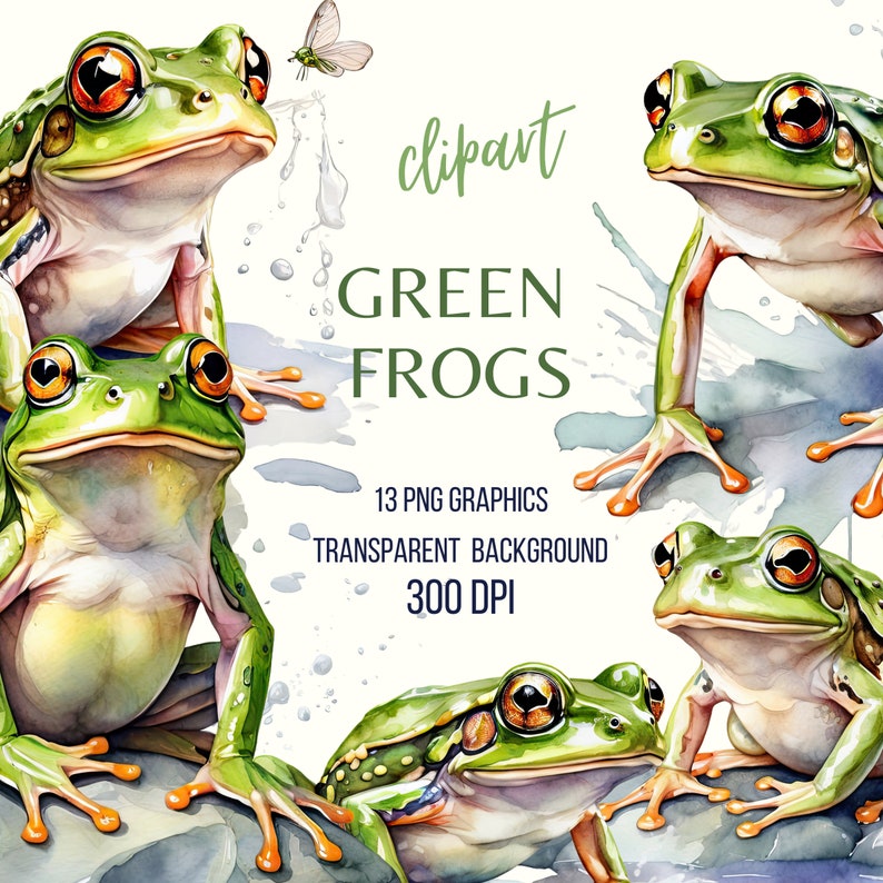 Green Frogs Clipart, Cute Frog PNG, Watercolor Animal Clipart ...