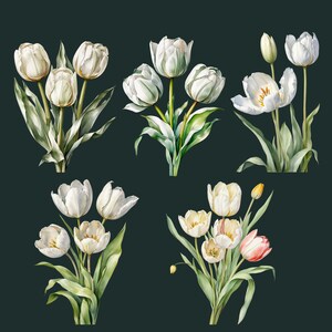 Colorful Spring Tulip Clip Art Bundle, Watercolor Flower Illustration ...