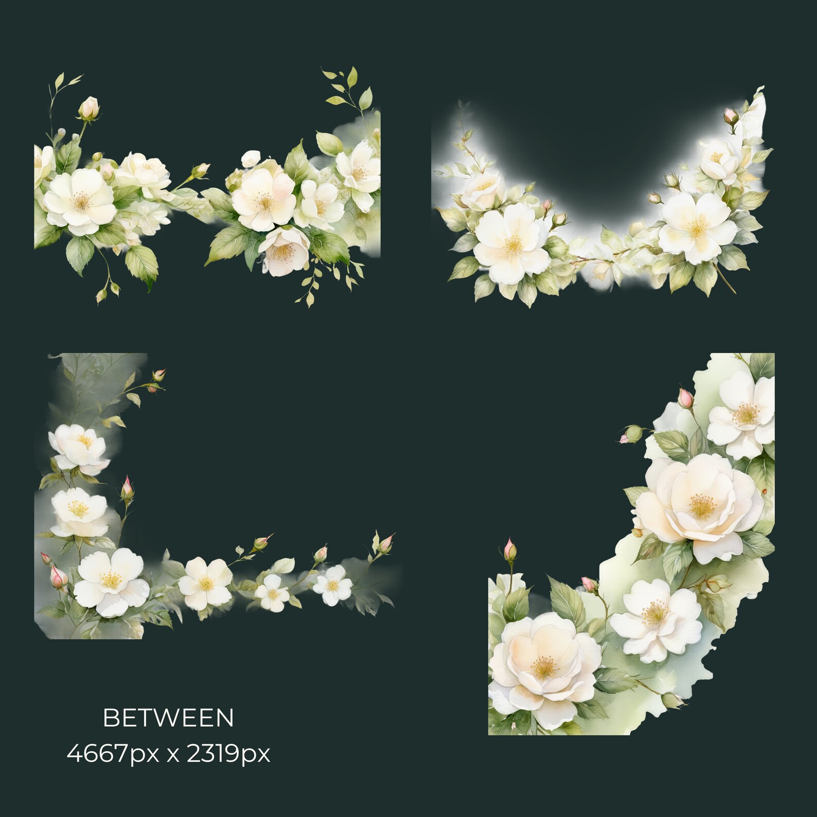 White Rose Border Clipart, Watercolor Floral Borders, Instant Download ...