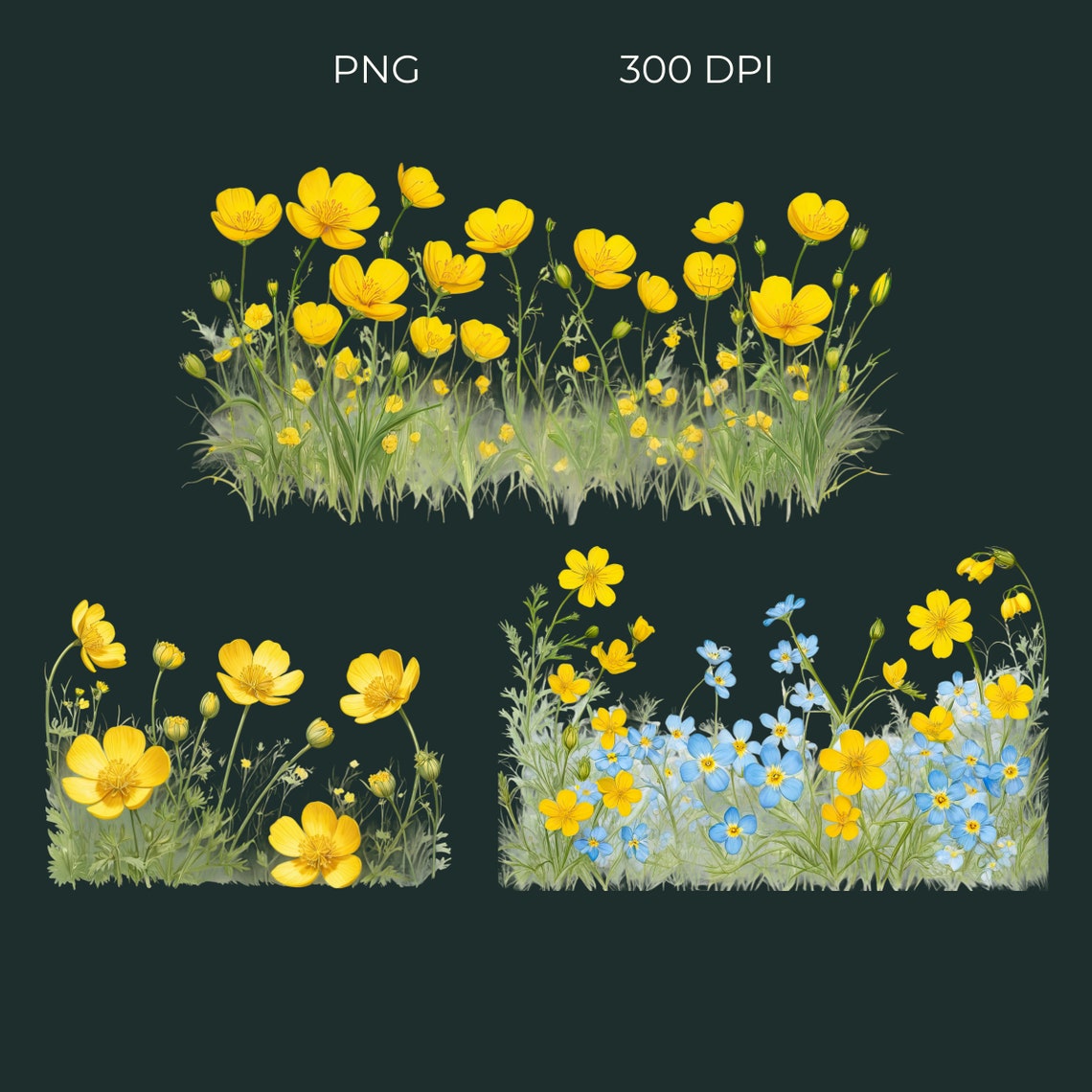 Buttercup Flower Border Clipart, Yellow Floral Border PNG, Instant ...