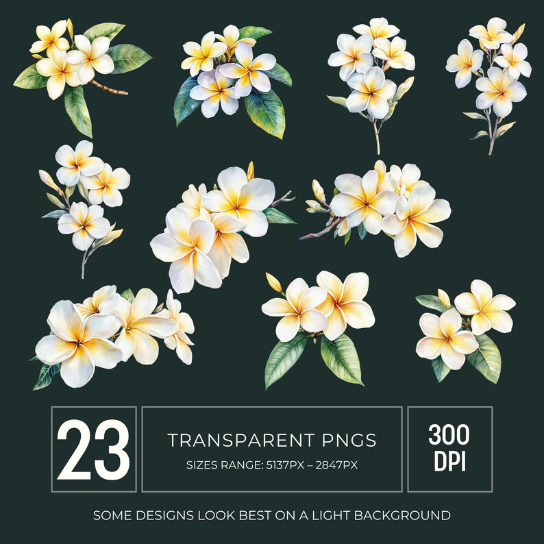 Frangipani Clipart, Tropical Flowers, Garden Clipart, Plumeria Flower ...