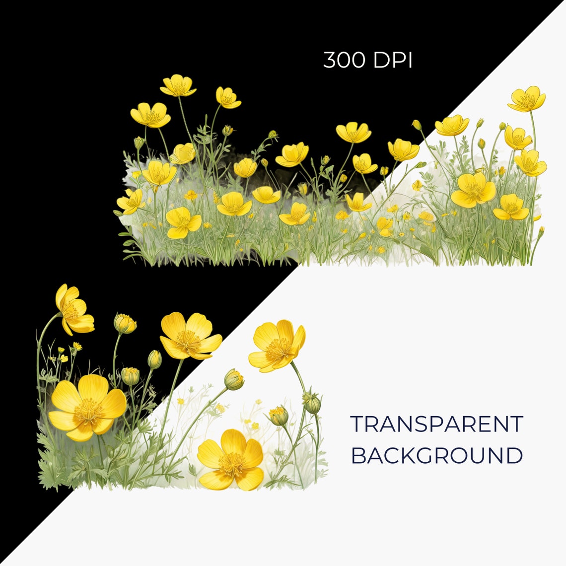 Buttercup Flower Border Clipart, Yellow Floral Border PNG, Instant ...