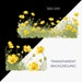 Buttercup Flower Border Clipart, Yellow Floral Border PNG, Instant ...