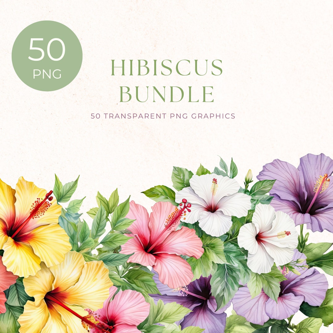 Hibiscus Flowers Clipart Bundle, Tropical Flower Digital Images ...