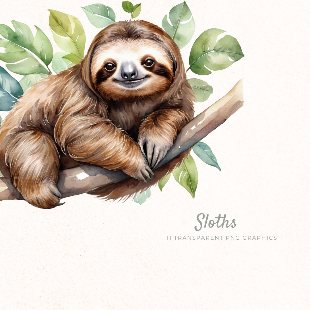 Watercolor Sloth Clipart PNG, Cute Animal Art, Floral Wildlife Decor ...