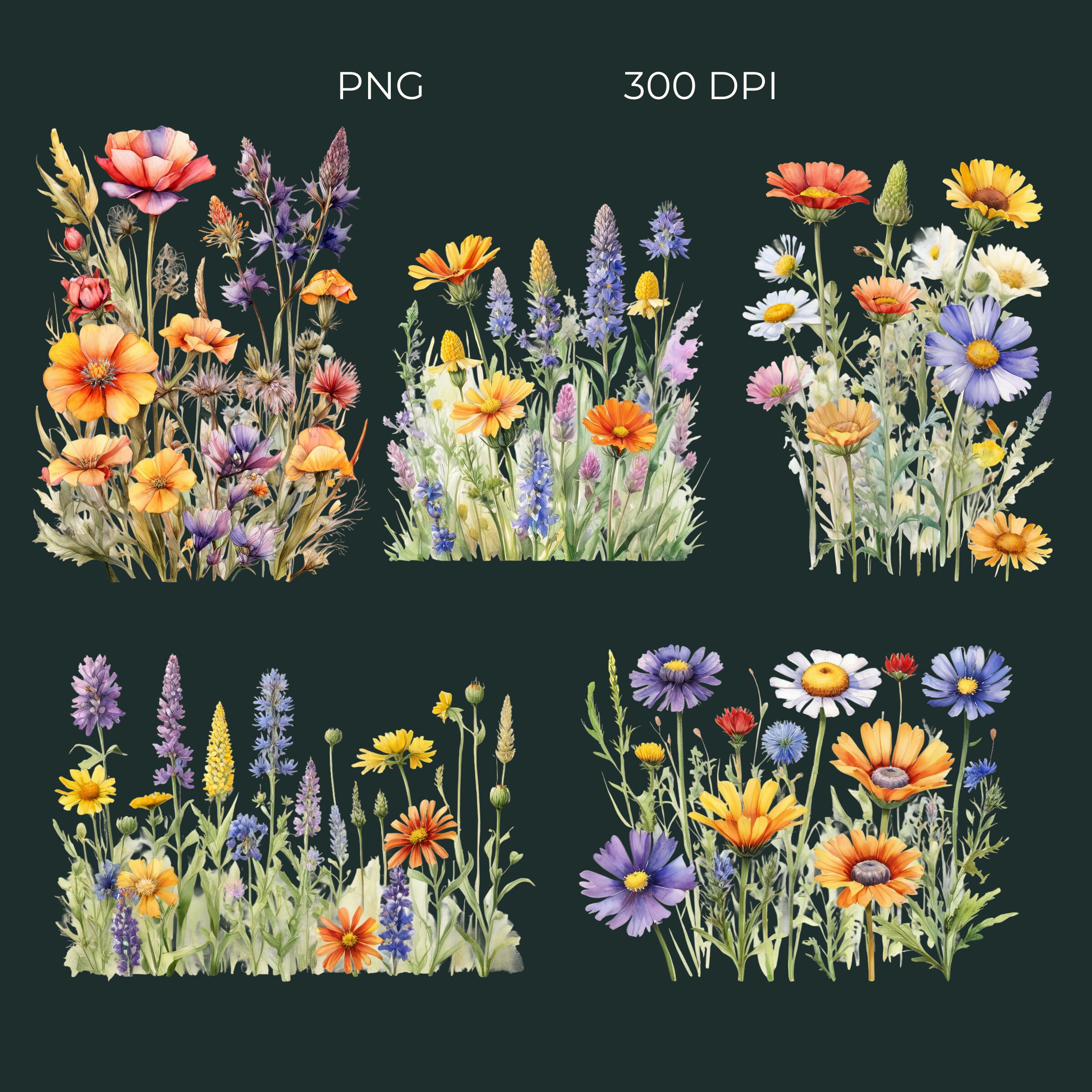 Texas Wildflower Clipart Set, Instant Download PNG Files, Wildflower ...