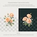 Peach Fuzz Roses Clipart, Flower Border Digital Download, Scrapbooking ...
