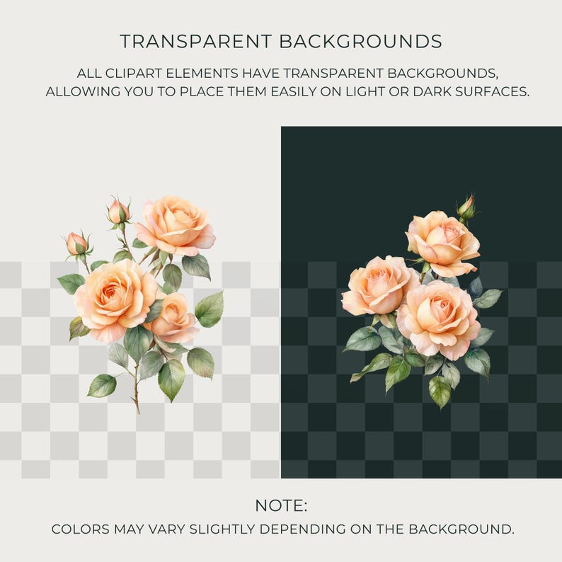 Peach Rose Flower Border Clipart PNG, Watercolor Floral Graphics for ...
