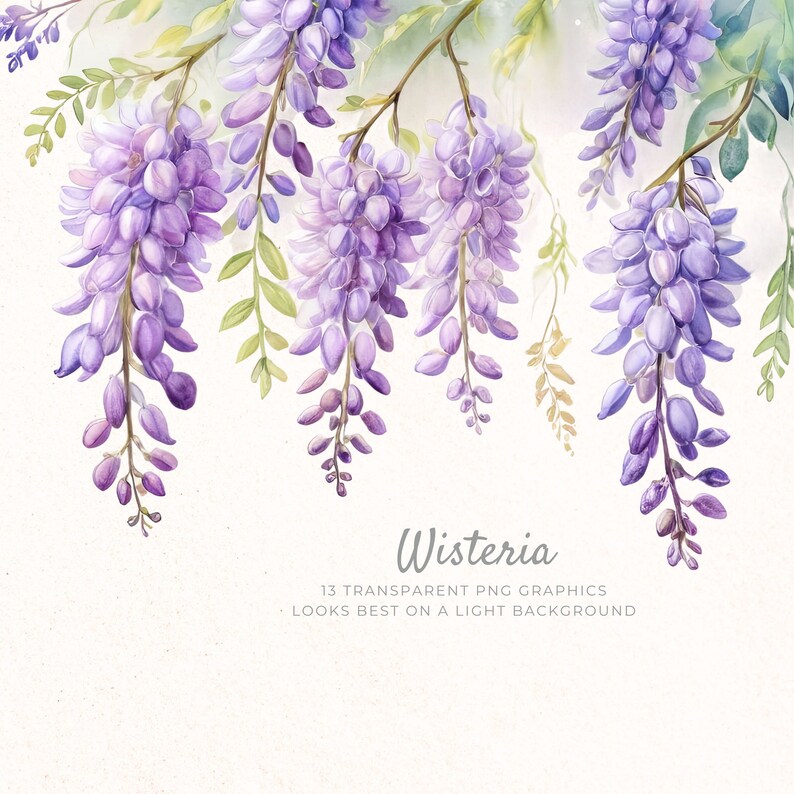 Wisteria Flowers Clipart Set, Periwinkle Blue Floral Clip Art ...