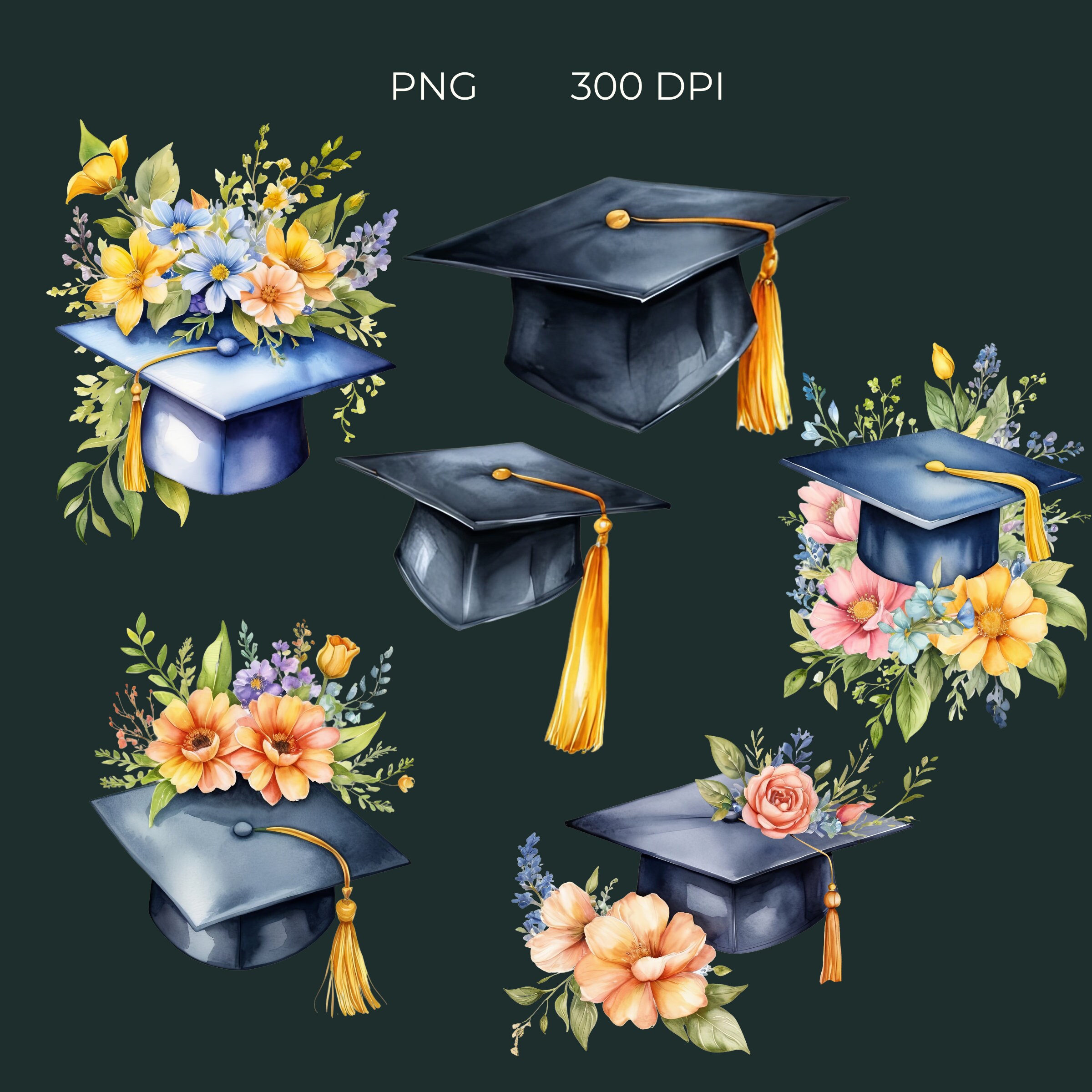 Graduation Hats Clipart Set, Instant Download School Student Graphics ...