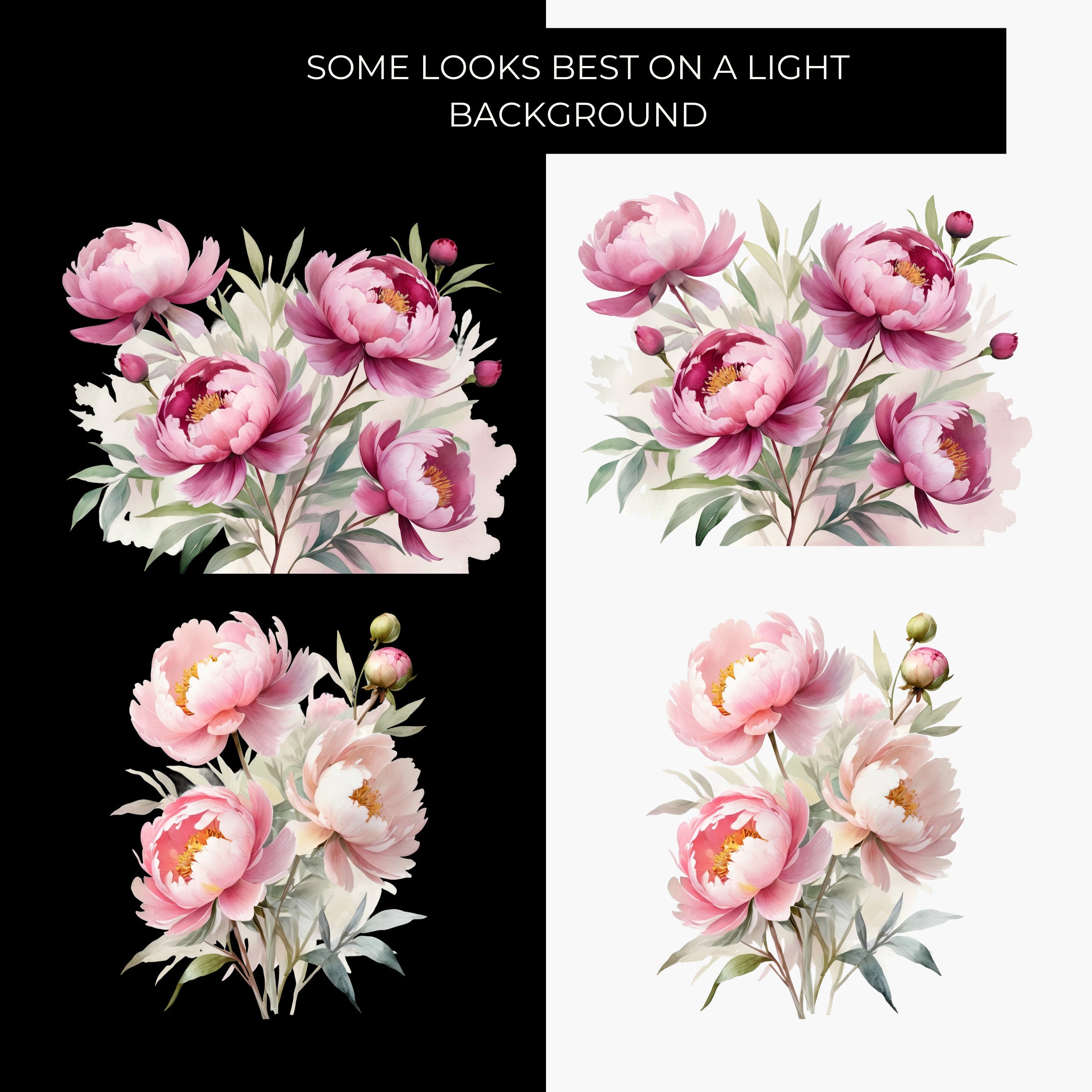 Watercolor Peony Flower Clipart PNG, Wedding Scrapbook Images, Digital ...