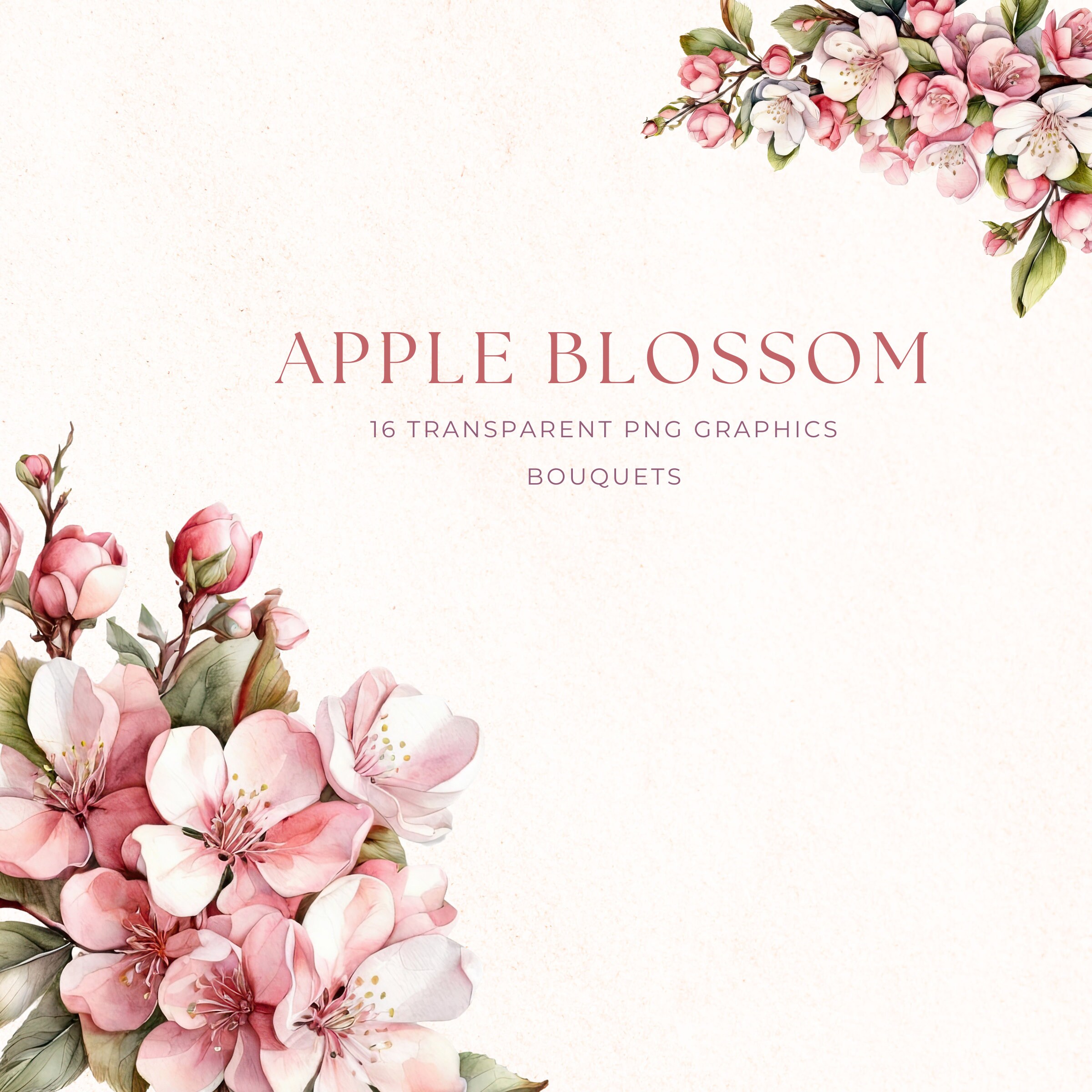 Apple Bloom Clipart, Spring Flower Blossom PNG Files, Instant Download ...