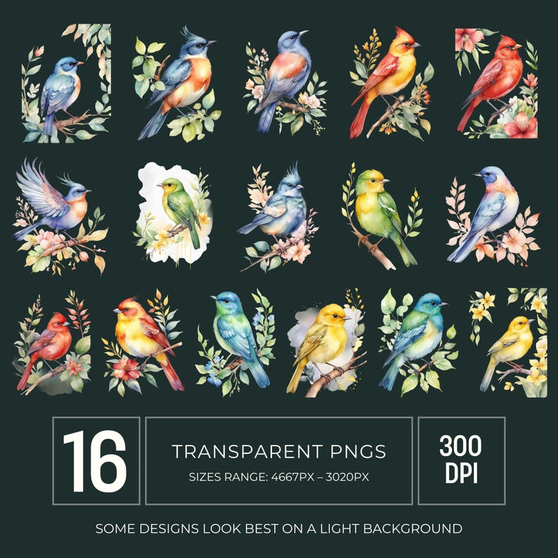 Watercolor Bird Clipart Set, Woodland Animals Graphics, Instant ...