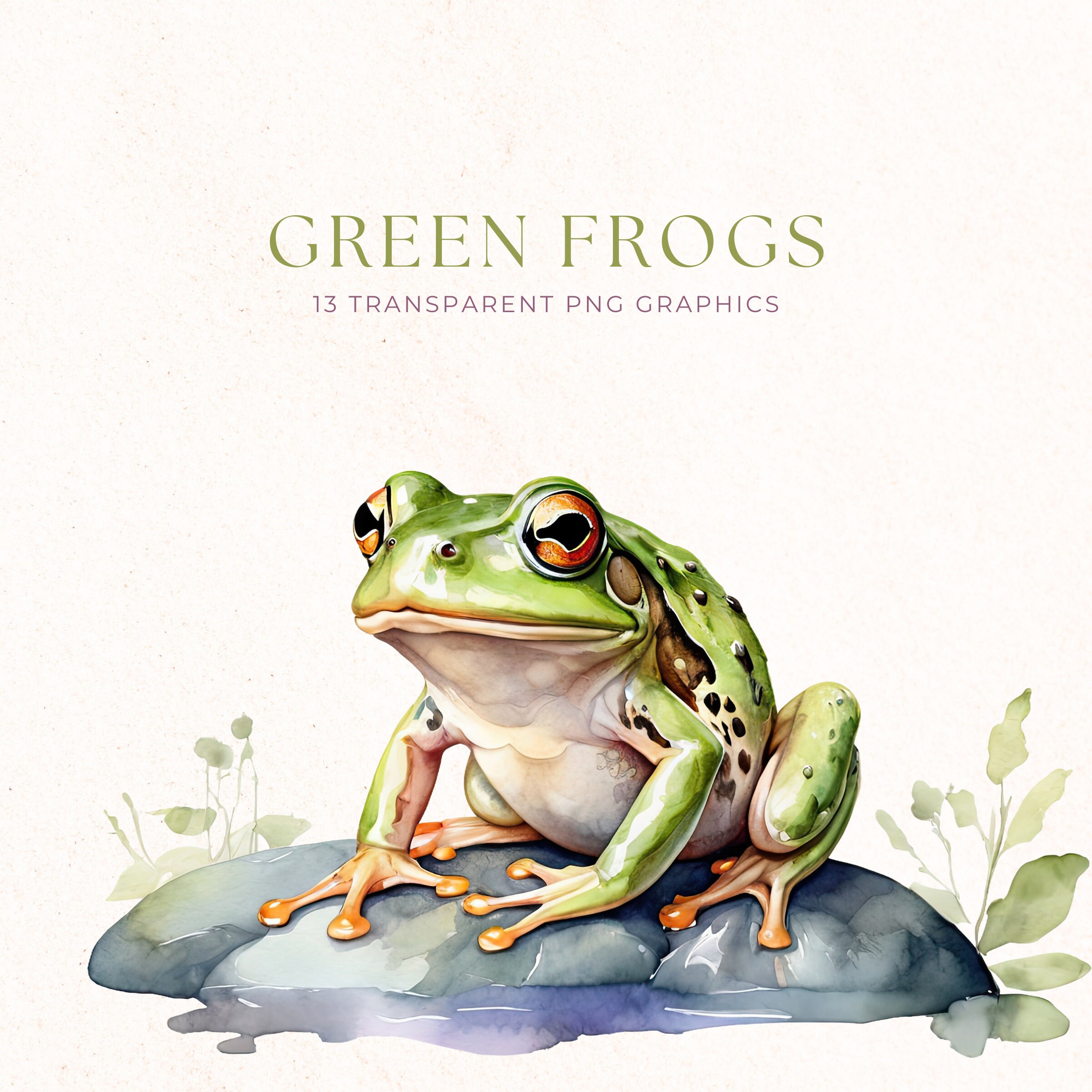 Green Frogs Clipart, Cute Frog PNG, Watercolor Animal Clipart ...