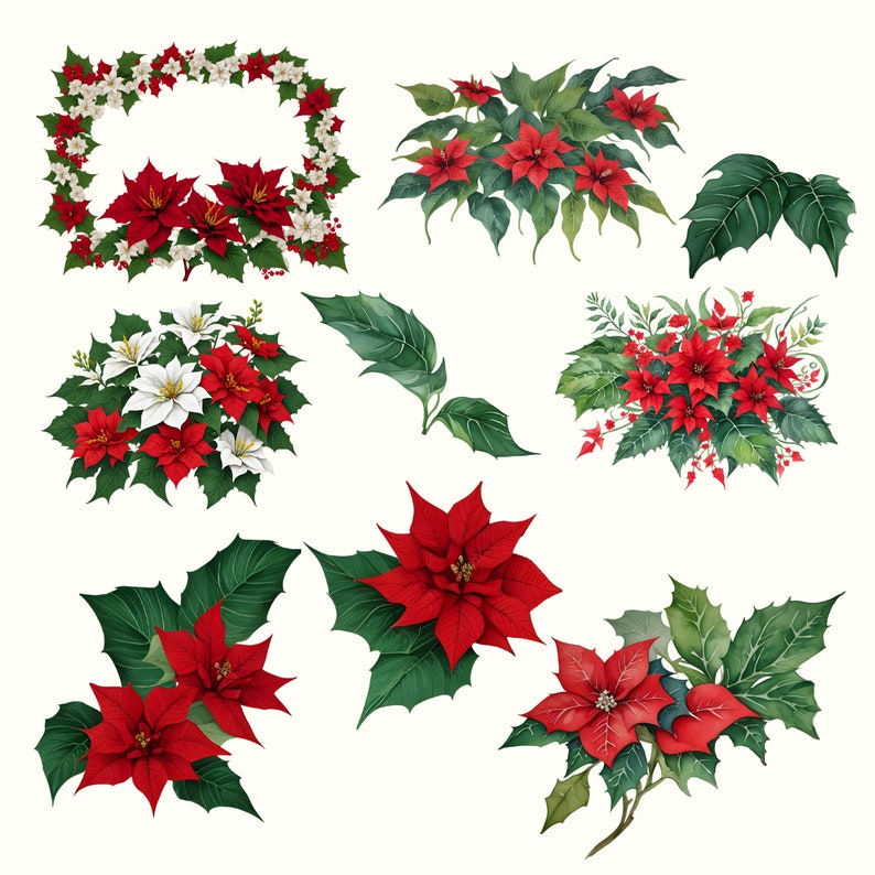 Poinsettia Clipart, Christmas Flower Decoration, Floral Winter Clip Art ...