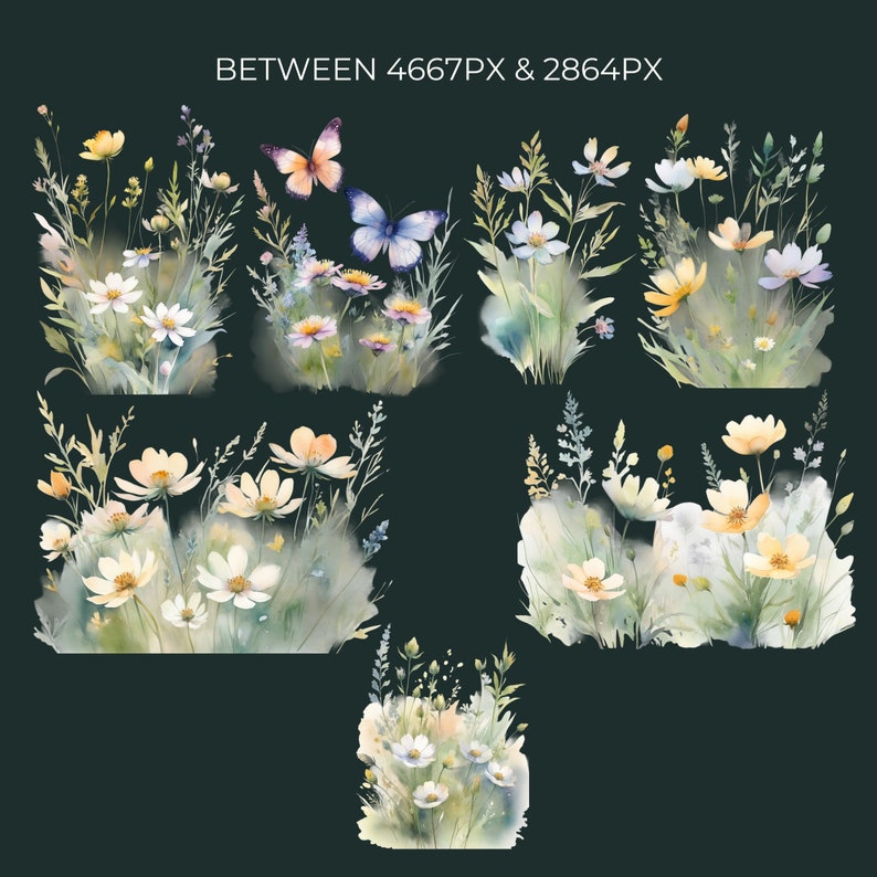 Wildflower Meadow Clipart, Watercolor Floral PNG, Spring Decorations ...