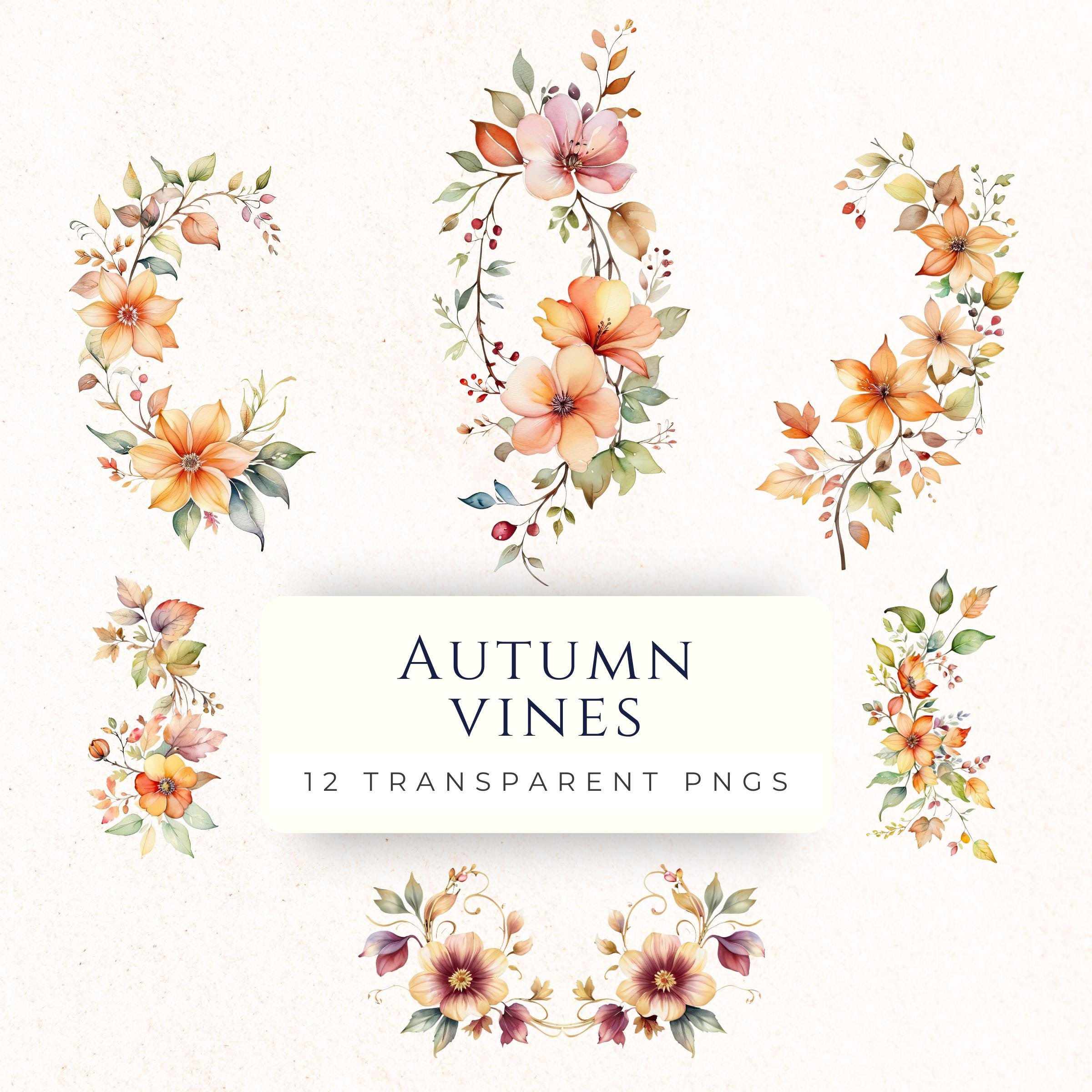Fall Vine Clipart Set, Autumn Flower Graphics, Thanksgiving Watercolor ...