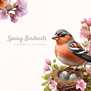 Spring Birds Nest Clipart, Sparrows and Tit Clip Art, Bird Lovers ...