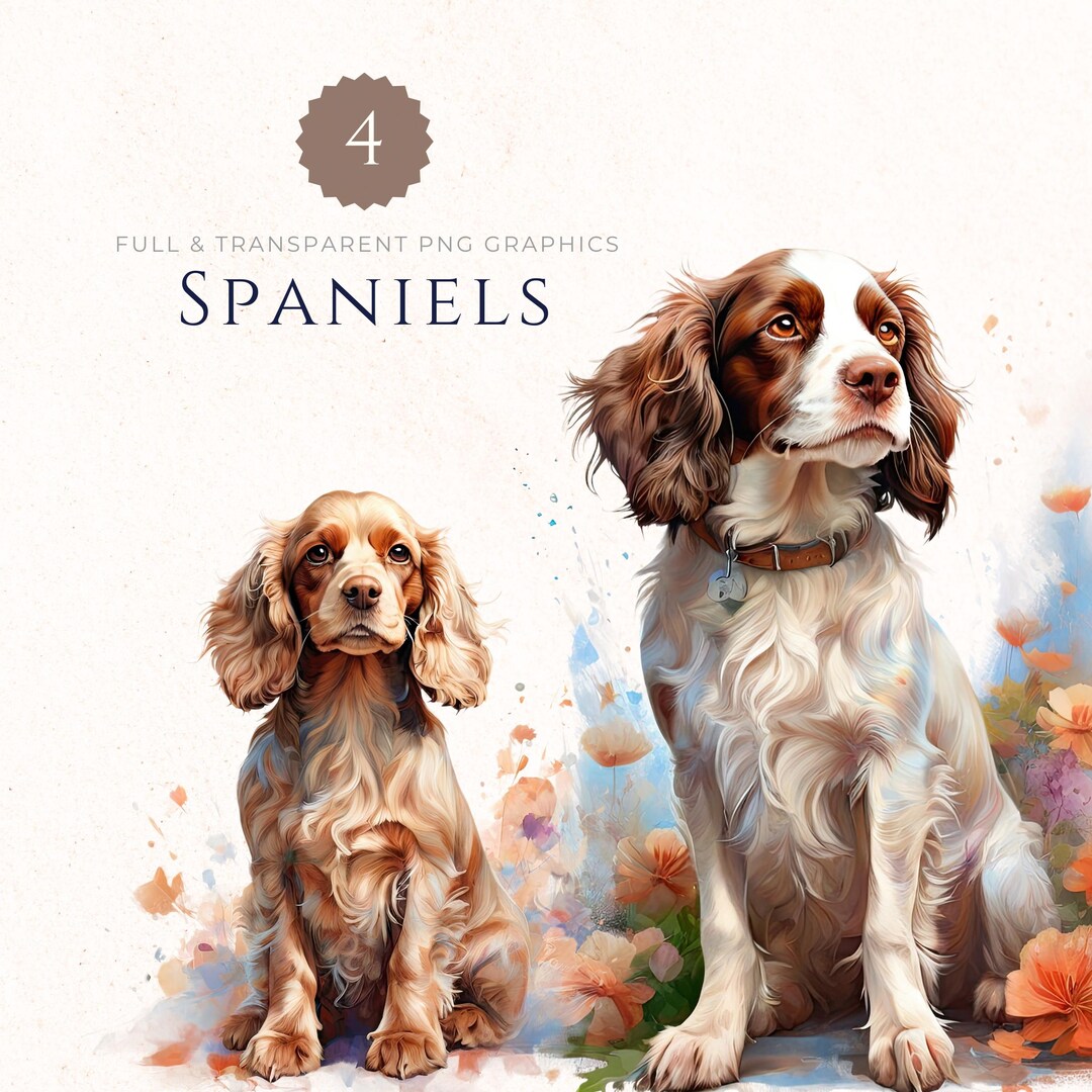 Watercolor Spaniel Clipart Instant Download, Dog Graphics for ...