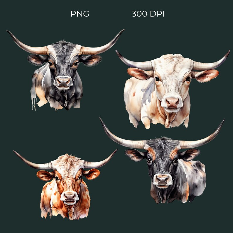Texas Longhorn Clipart Farmhouse Decor, Cow PNG Instant Download ...
