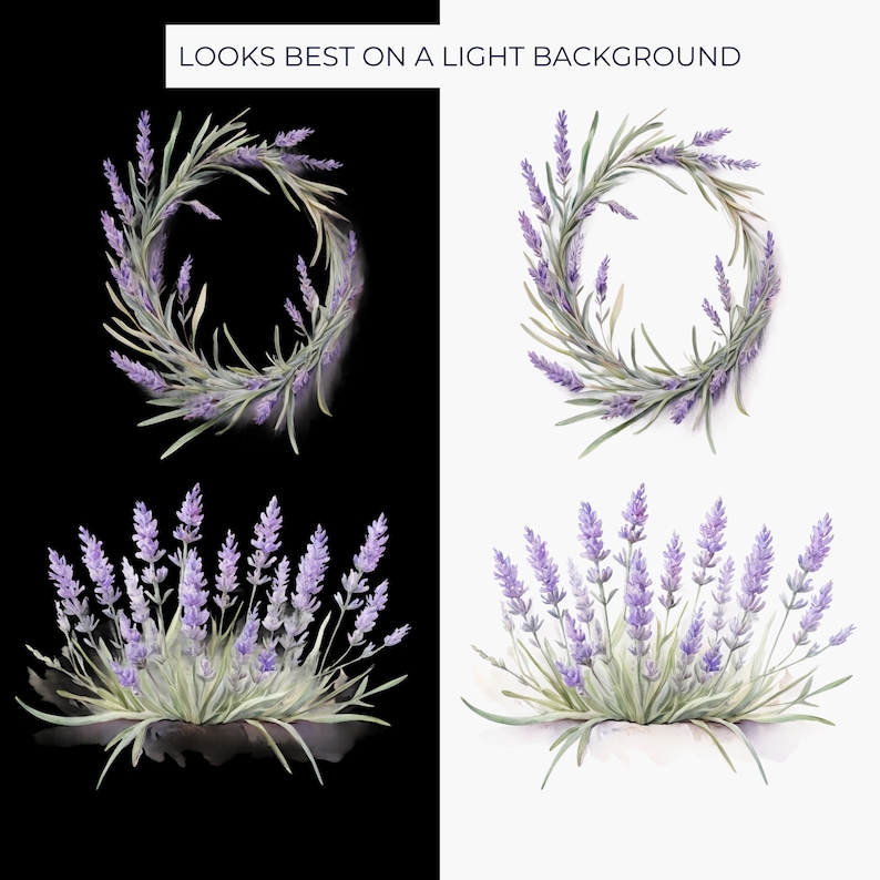 Watercolor Lavender Clipart Set, Purple Floral Graphics, Instant ...