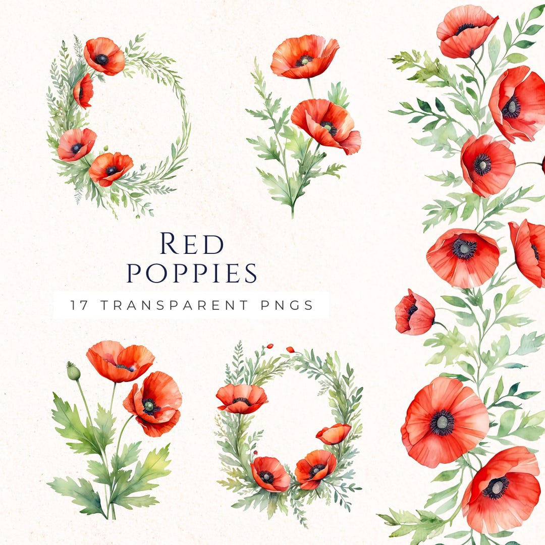 Watercolor Poppy Clipart Set, Floral PNG Images, Scrapbook Supply ...
