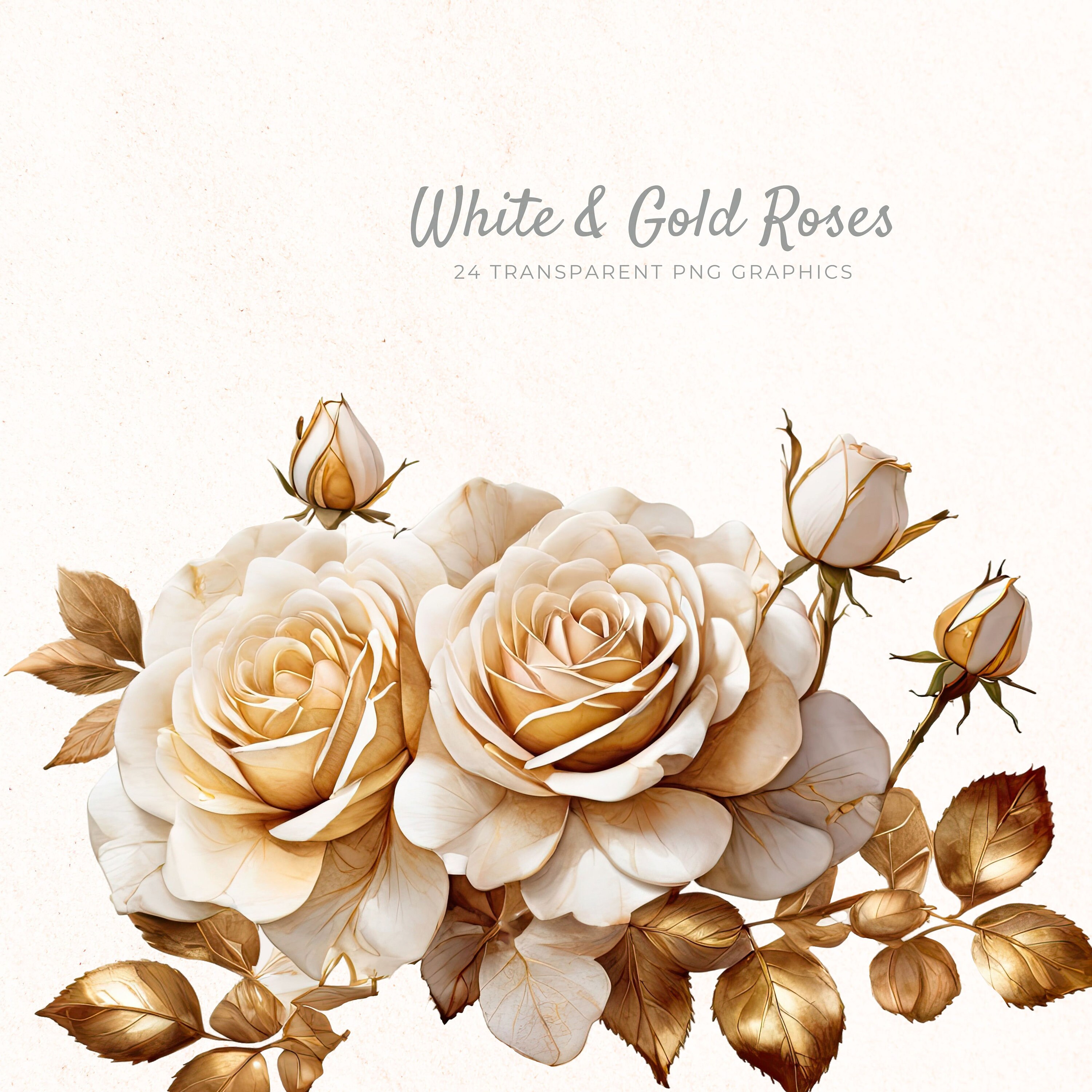 Watercolor Roses Clipart, Floral Clipart, Flowers PNG, White and Gold ...