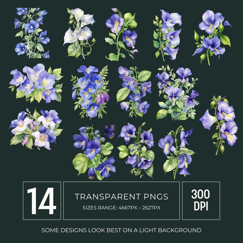 Blue Pea Flower Plant Clipart, Butterfly Flowers PNG, Clitoria Ternatea ...