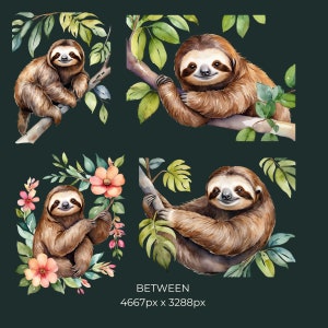 Watercolor Sloth Clipart PNG, Cute Animal Art, Floral Wildlife Decor ...