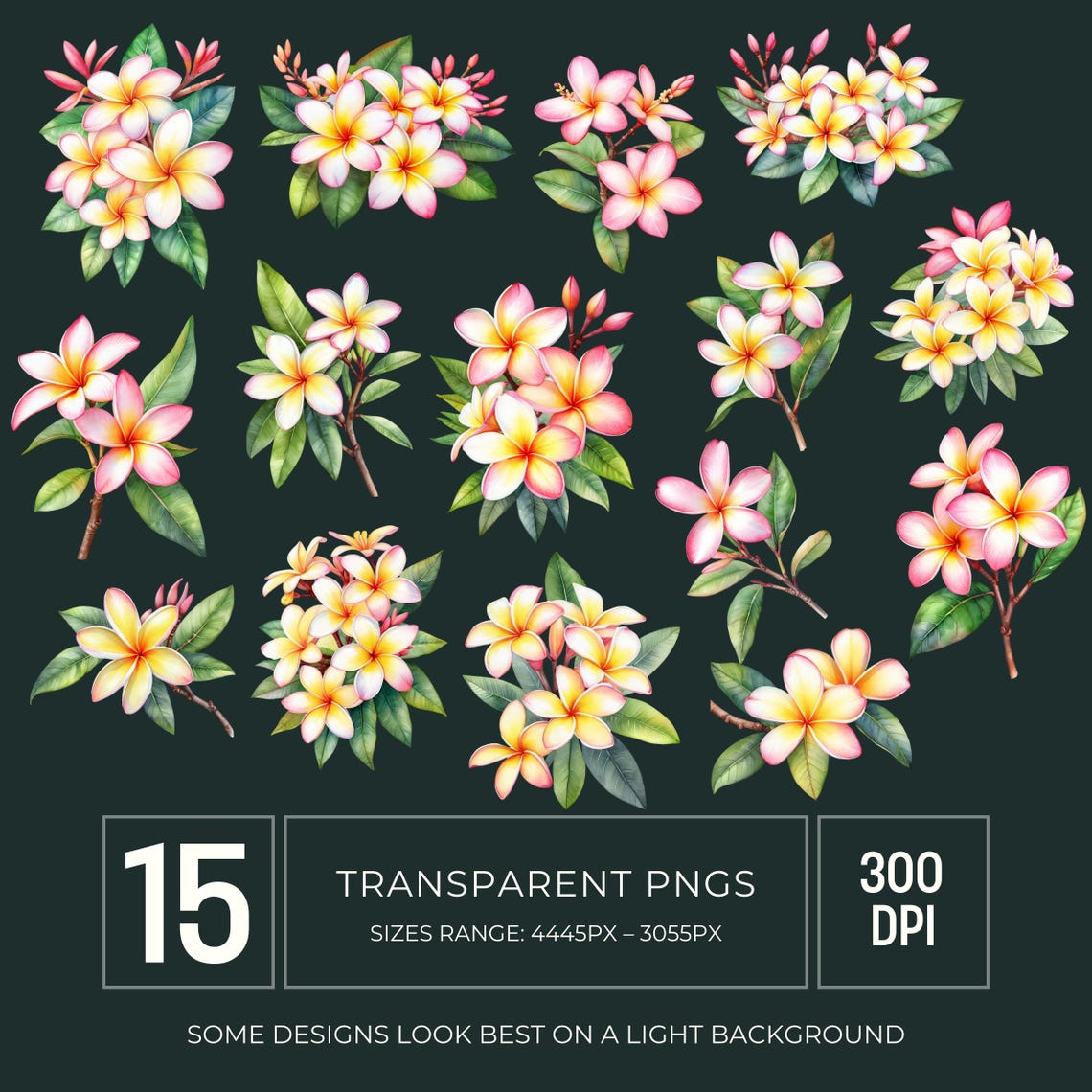 Plumeria Frangipani Flower Clipart, Tropical Flowers Graphic Set ...