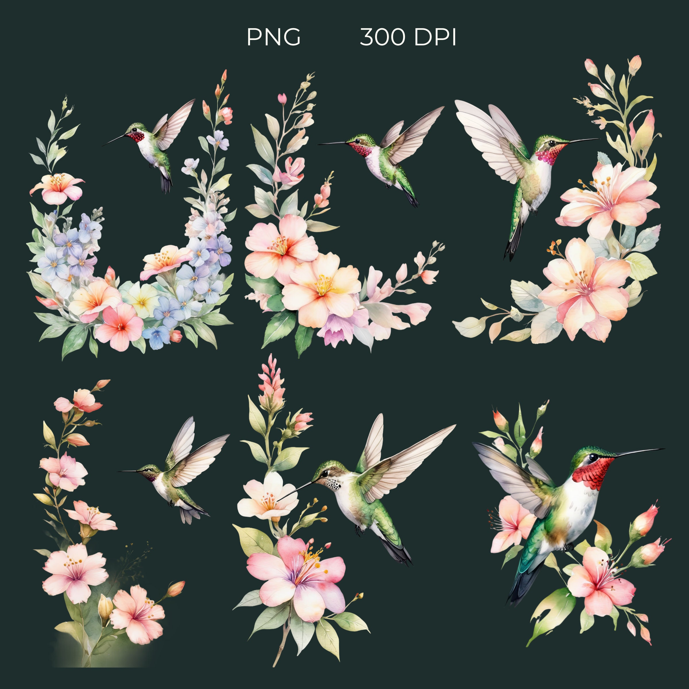 Hummingbird Clipart Digital Download, Watercolor Bird Clip Art ...