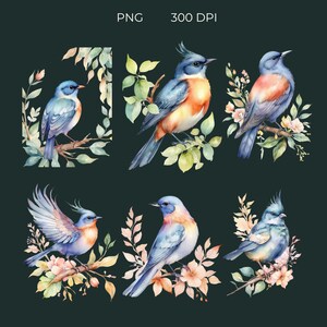 Watercolor Bird Clipart Set, Woodland Animals Graphics, Instant ...