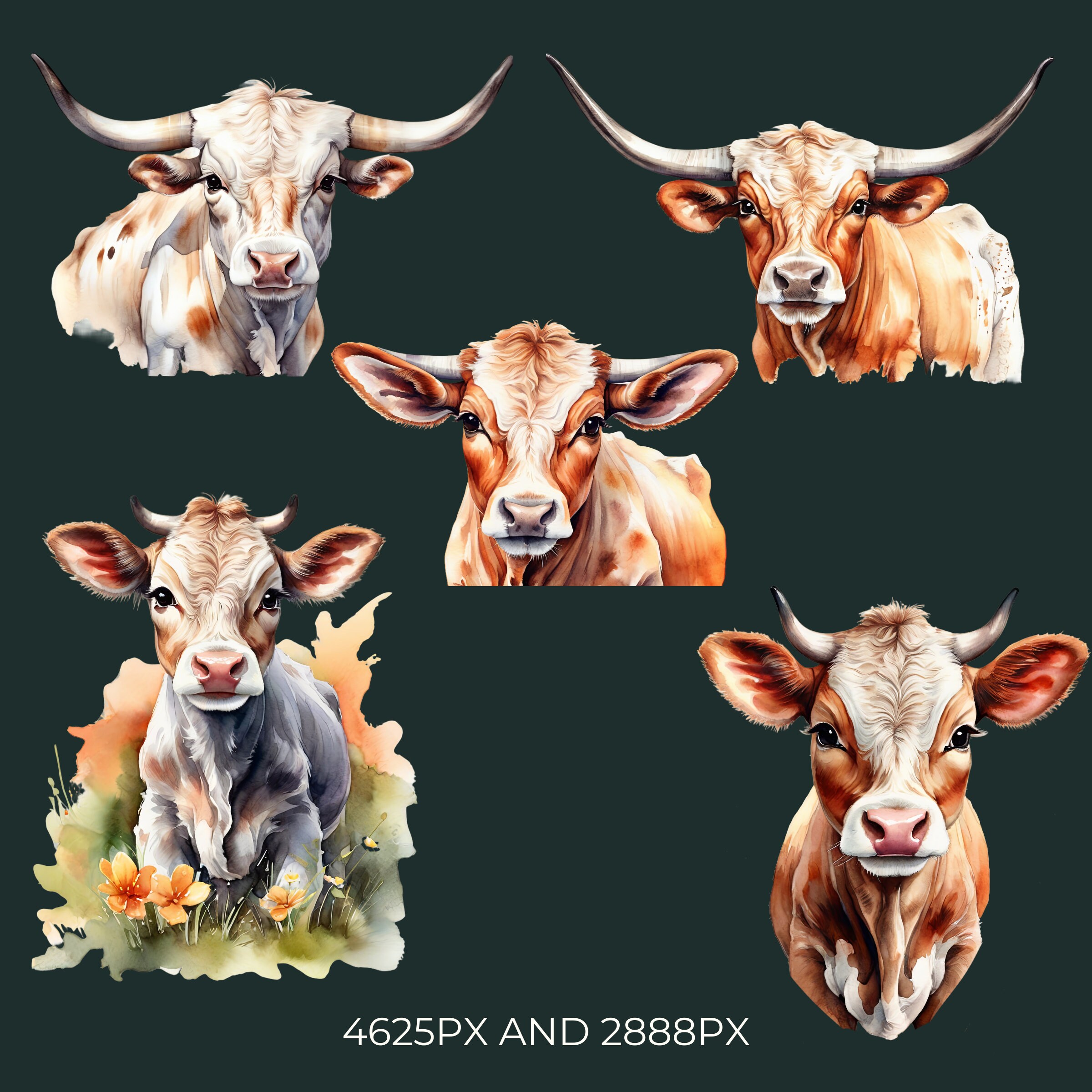 Texas Longhorn Clipart Farmhouse Decor, Cow PNG Instant Download ...