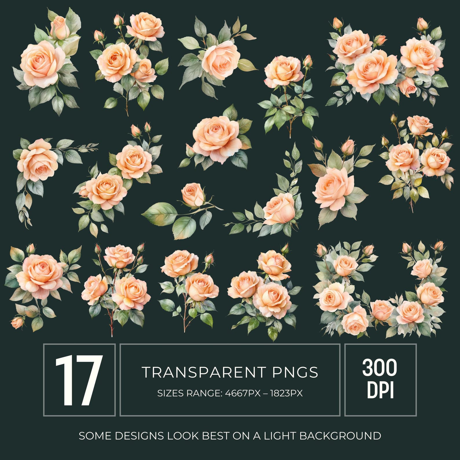 Peach Fuzz Roses Clipart, Flower Border Digital Download, Scrapbooking ...