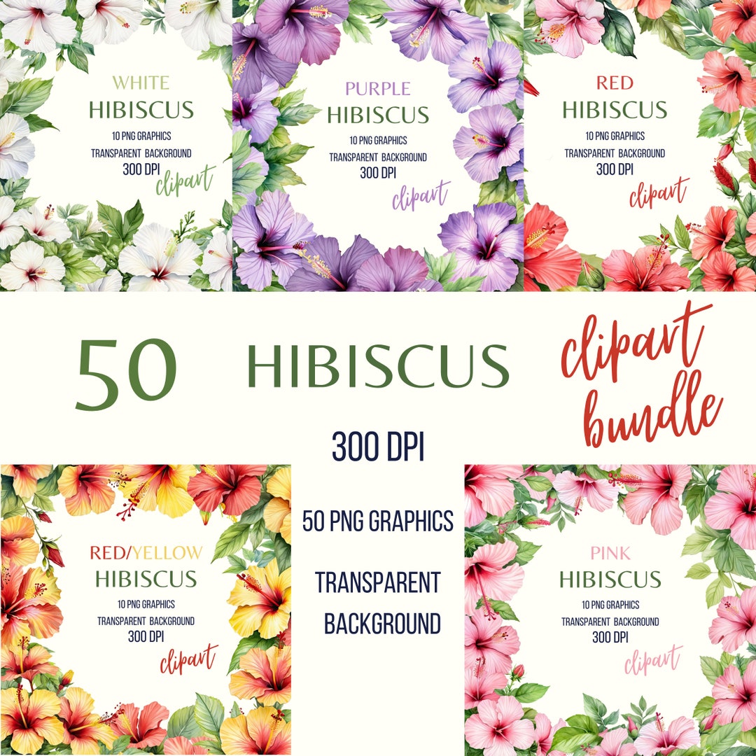 Hibiscus Flowers Clipart Bundle, Tropical Flower Bundle, Instant ...