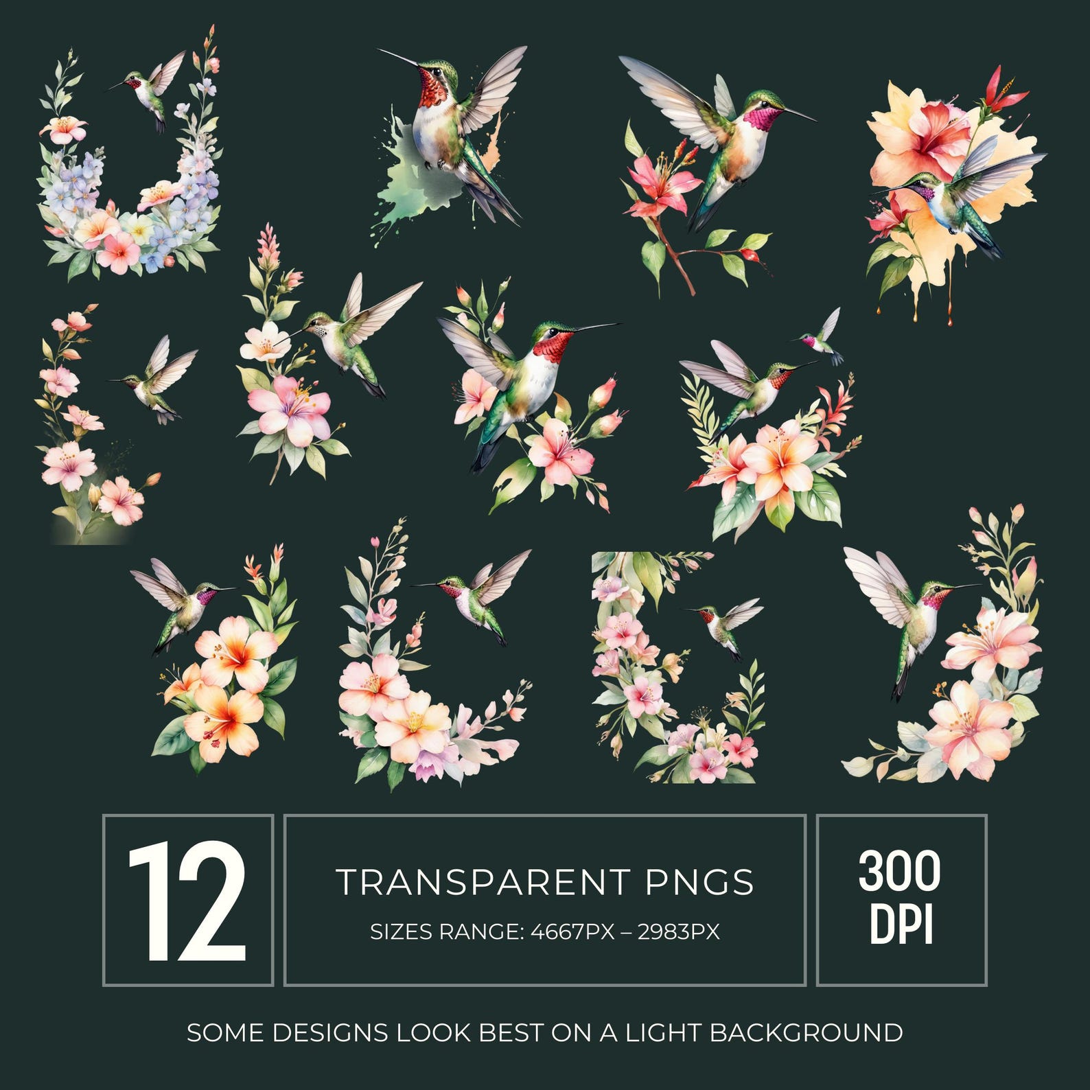 Hummingbird Clipart Digital Download, Watercolor Bird Clip Art ...
