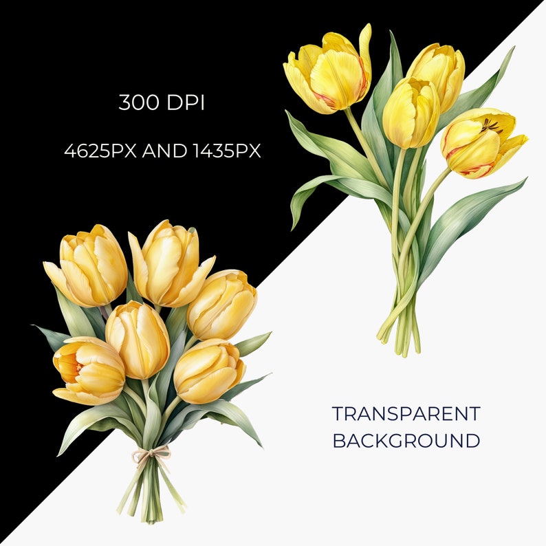 Yellow Tulips Clipart, Spring Flower Clip Art, Instant Download ...