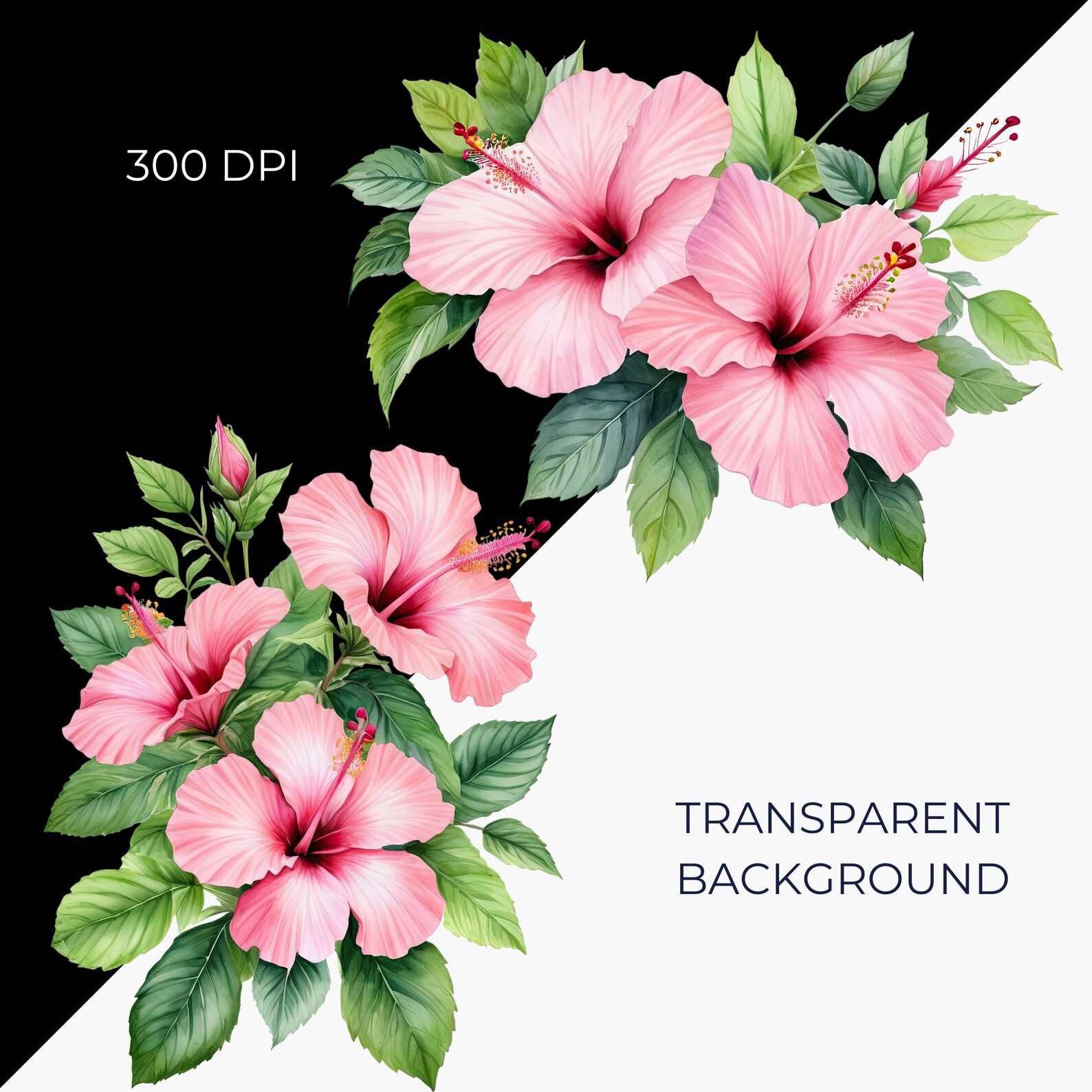 Watercolor Pink Hibiscus Graphics, Tropical Floral Clipart Set, Instant ...