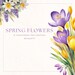 Spring Bouquet Clipart, Crocus and Daffodils Flowers, Yellow Crocuses ...