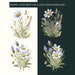 Wildflower Clipart Set, Instant Download Images, Scrapbooking Supplies ...