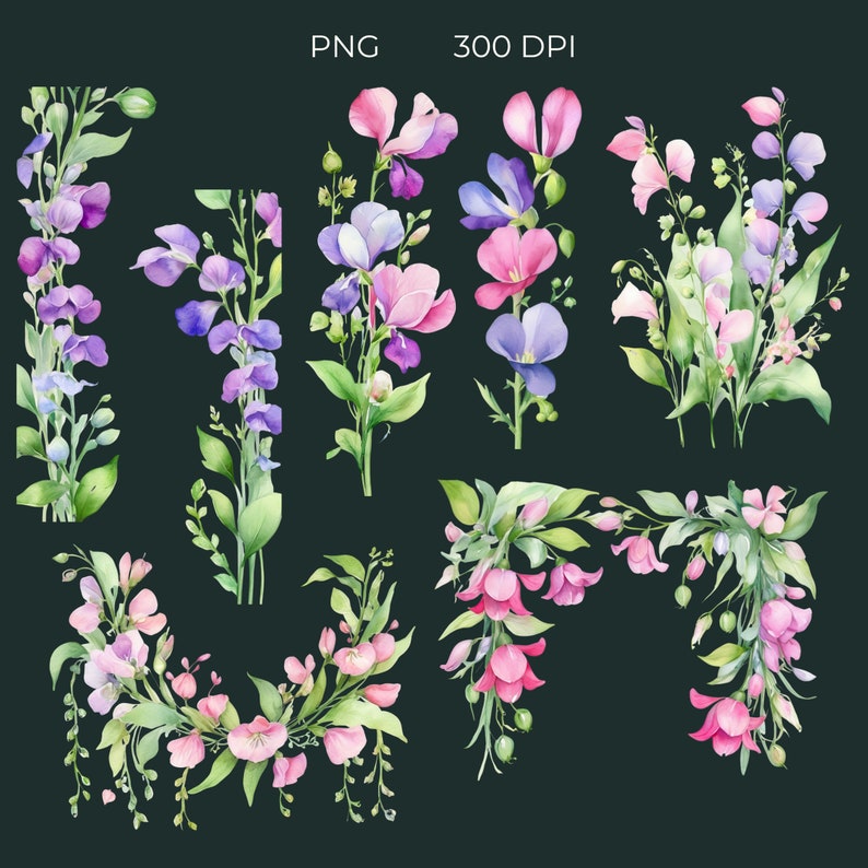 Sweet Pea Clipart PNG, Watercolor Flower Graphics, Instant Download ...