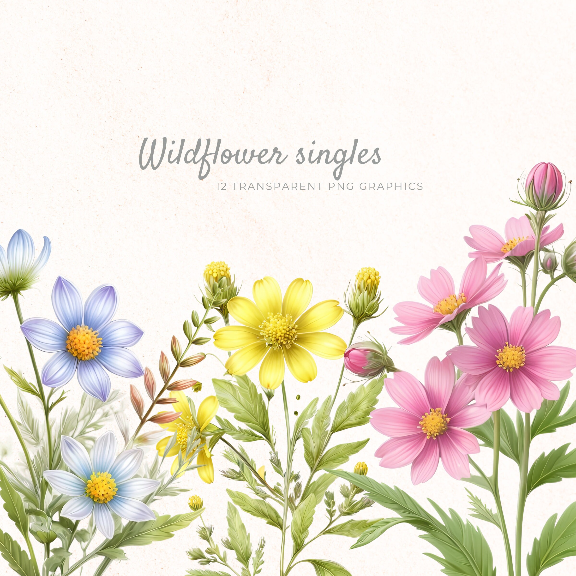 Wildflower Clipart Set, Instant Download Images, Scrapbooking Supplies ...