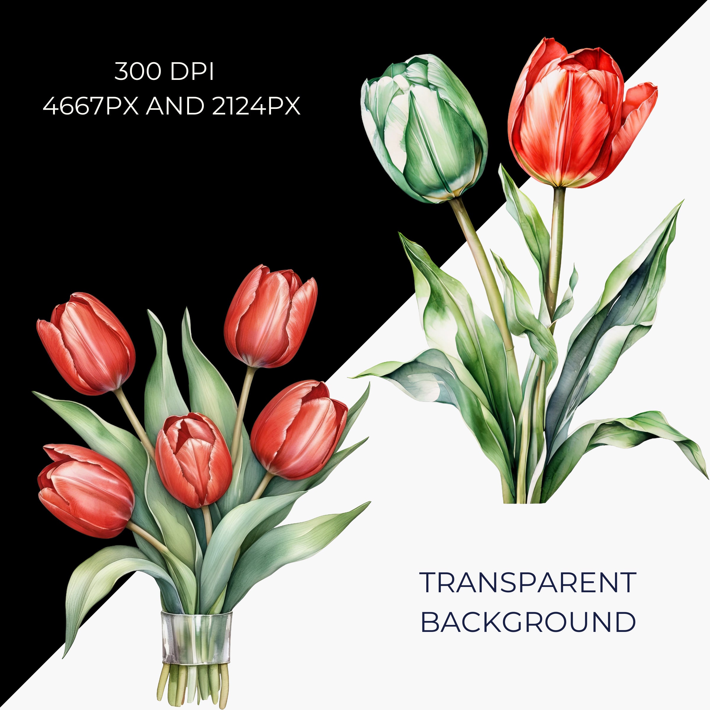 Spring Tulips Clipart, Watercolor Floral Design, Red Flower Clip Art ...